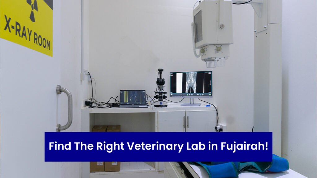 Finding the Best Veterinary Lab in Fujairah | Expert Pet Care & Diagnostics